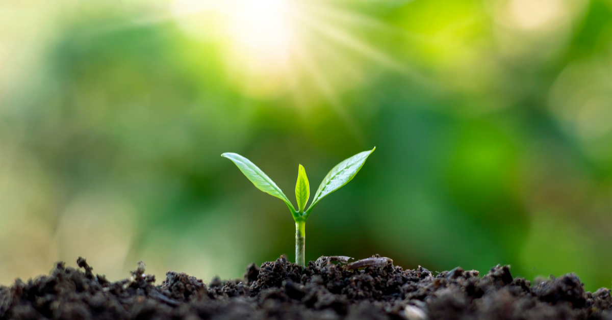 Why Deep Seated Water Makes Ecological Sense To Relieve Global Drought ...